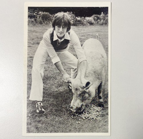 Beatles John Lennon Imagine Pig Promo Card 1971 Rare | eBay UK
