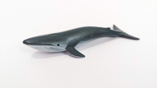 1/200 Blue Whale Water Model Animal Figure Zoo Diorama Scale Z PAINTED ...