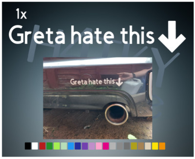 sticker Greta hate this car van bumper window funny sticker | eBay