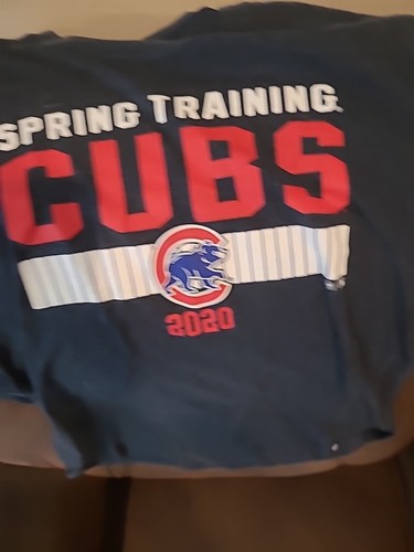 Chicago Cubs Spring Training 2020 Shirt Large Blue | eBay