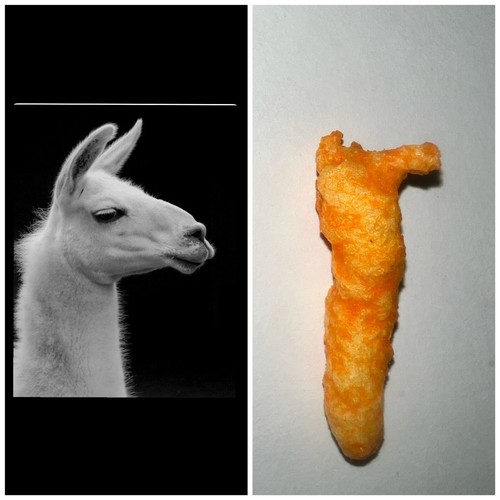 Cheeto - Extremely Rare - Shaped Like a Llama | eBay