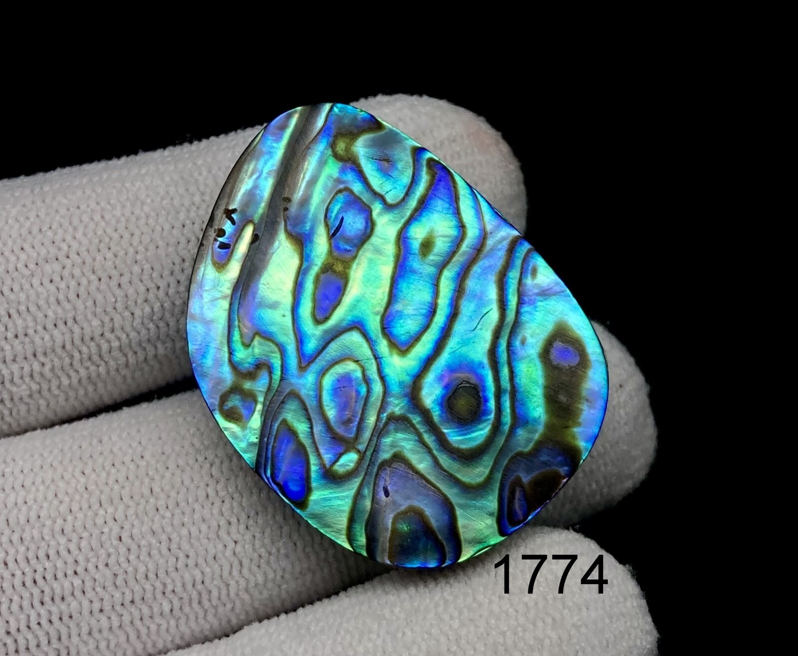 Abalone Shell Cabochon 32x24x5mm Fancy Shape 36.1Carats For Jewelry ...
