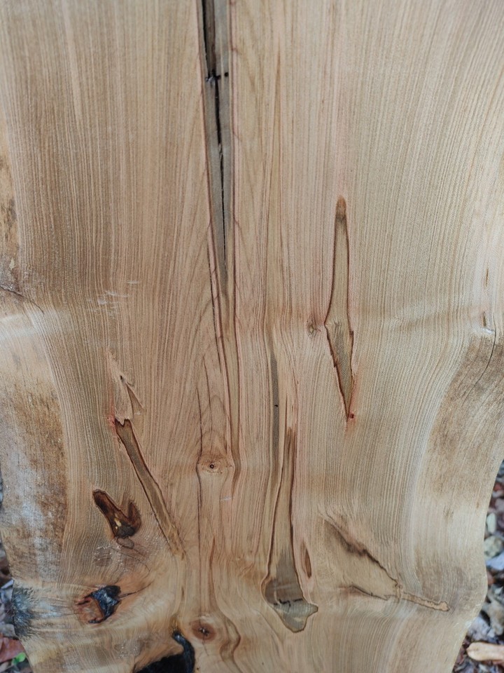Ambrosia maple slab (Live Edge) Spalted (Thick slab) wormy maple (epoxy ...