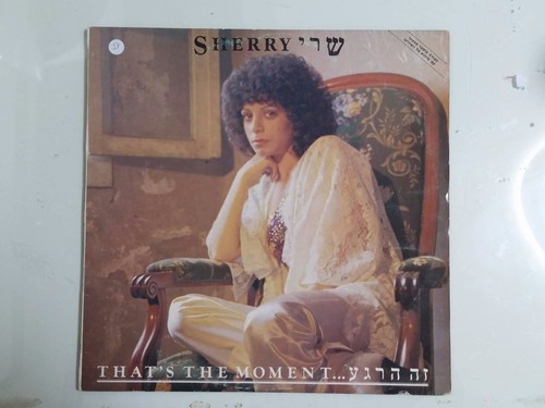 UNKNOWN ISRAELI DISCO FUNK LP Sherry-that's the moment 2001 PRODUCTIONS ...