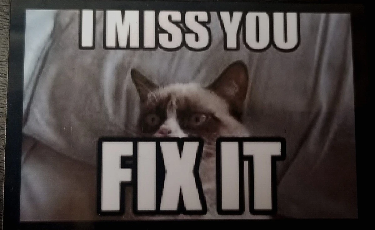I Miss You Meme Cat