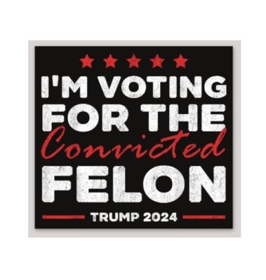 I'm Voting For The Convicted Felon Trump 2024 Donald 4 Inch Vinyl ...