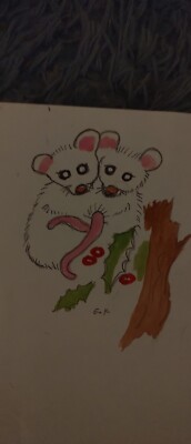 Johnny Eck Drawing, side show, artist, actor entrepreneur, king of the ...