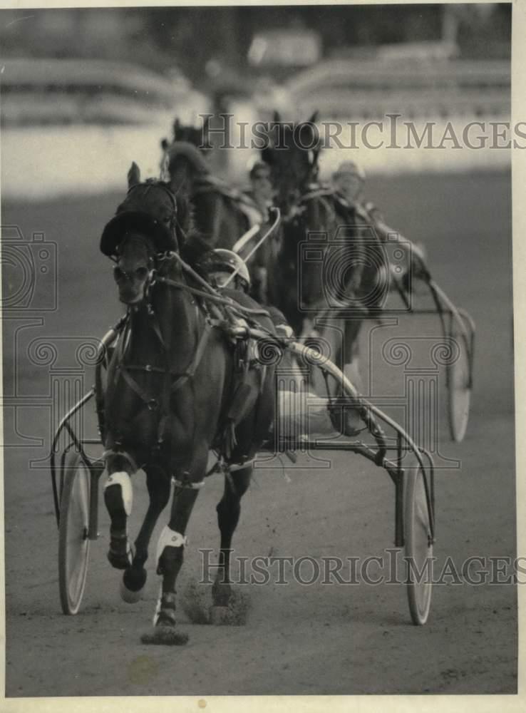 Syracuse Mile Harness Racing Horse Racing At The Red Mile | Horse