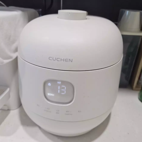 Brain IH Electric Pressure Rice Cooker (White) / CRH-TWK0670W | eBay