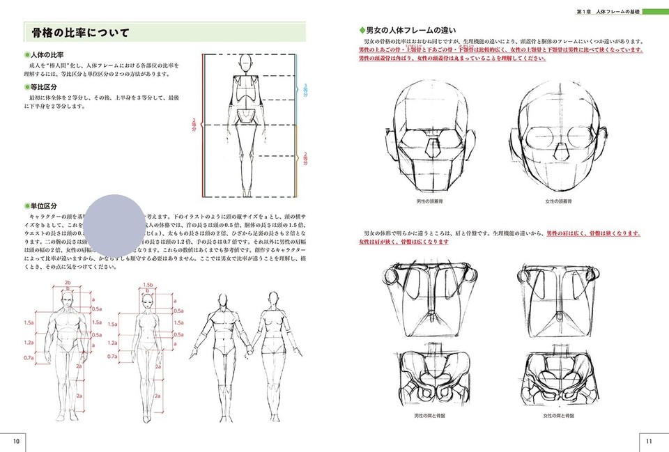 How to Draw Characters Guidebook : Human Body Drawing to Character ...