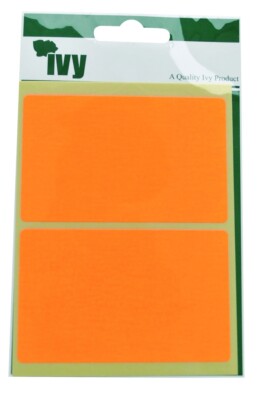 Ivy 50mm x 80mm Fluorescent Orange Self Adhesive Sticker Labels (8 ...