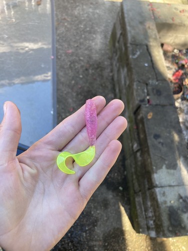 50 pack 3” Cotton candy colored. hand poured custom lures | eBay