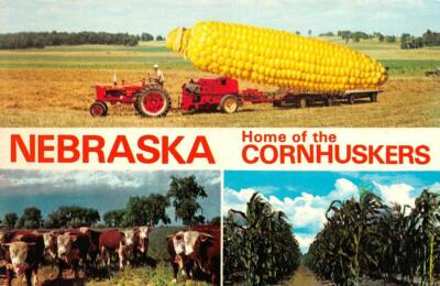 Nebraska NE HOME OF CORNHUSKERS Corn Cob Exaggeration~Tractor~Cattle ...