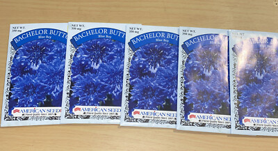 Bachelor Button BLUE BOY Cutflowers 350 mg Seeds packed for 2022 | eBay