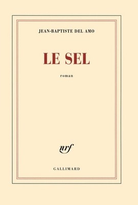 Le sel, Jean-Baptiste Del Amo | eBay
