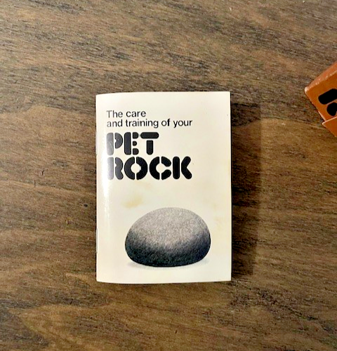 Vintage Original 1975 Pet Rock With Tote Box Booklet by Rock Bottom ...