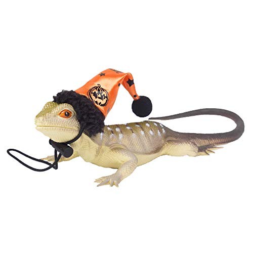 Halloween Thanksgiving Bearded Dragon Lizard Leash Harness Hat Set ...