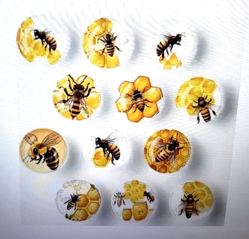 12Pcs Bee Glass Refrigerator Magnets - Fridge Magnets Decoration | eBay