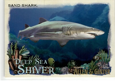 2021 Topps Allen & Ginter Deep Sea Shiver #DSS-10 Sand Shark | eBay