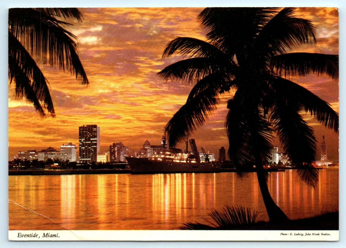 Miami Skyline Sunset