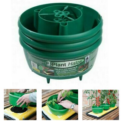 SET OF 3 GARDEN TOMATO PLANT HALO TOMATOES GROW BAG PLANTER WATER POT ...