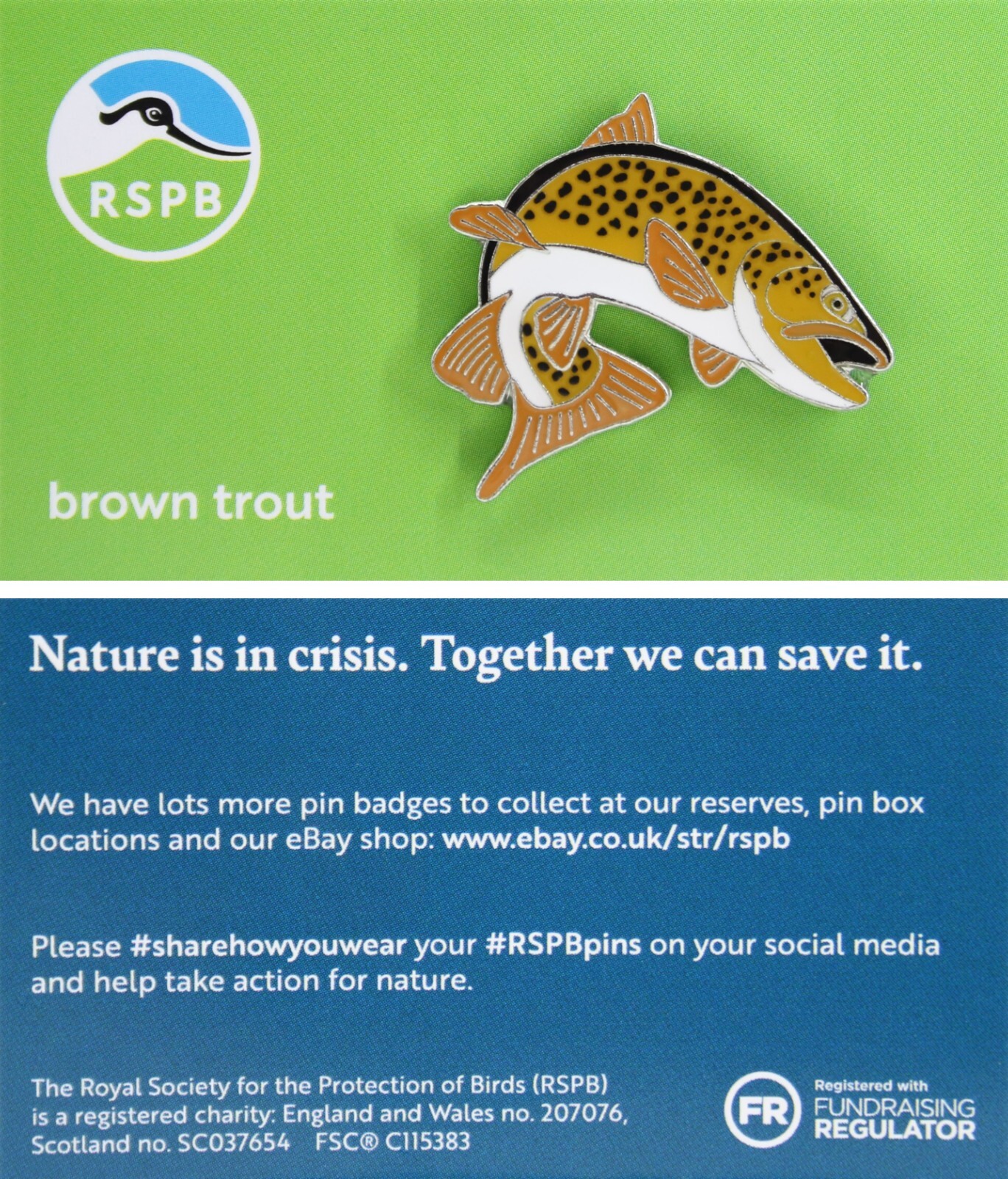 RSPB Pin Badge Brown Trout NIIC P03050 | eBay