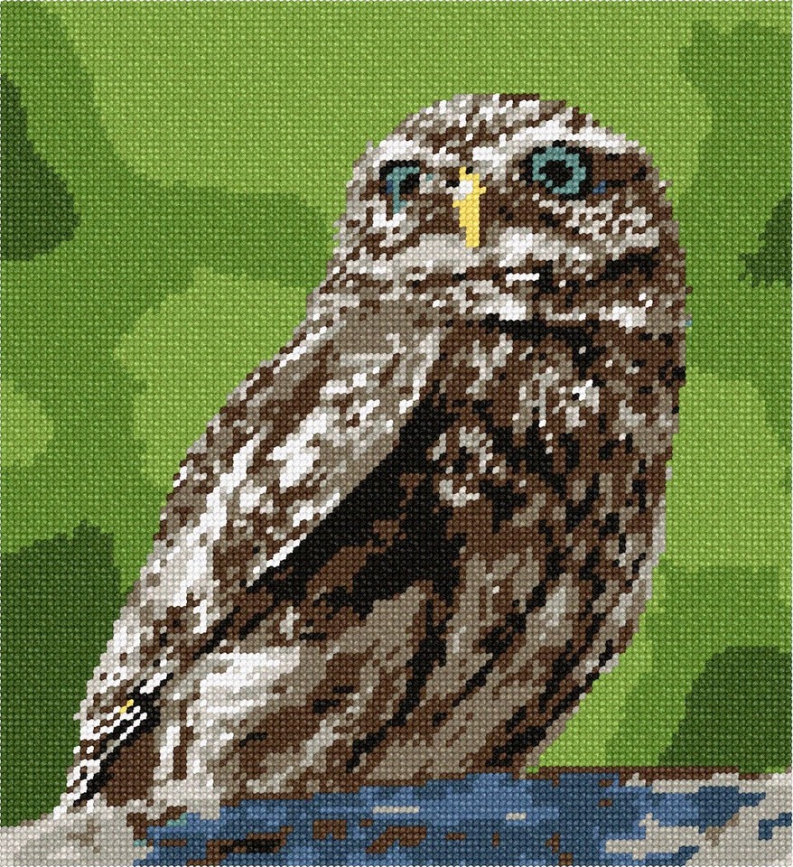 Owl Needlepoint Kit or Canvas | eBay