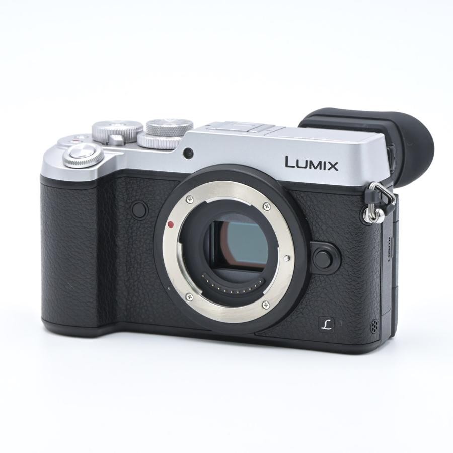 Panasonic LUMIX DMC-GX8-K Body Black (ShutterCount 494) [Top Mint ...