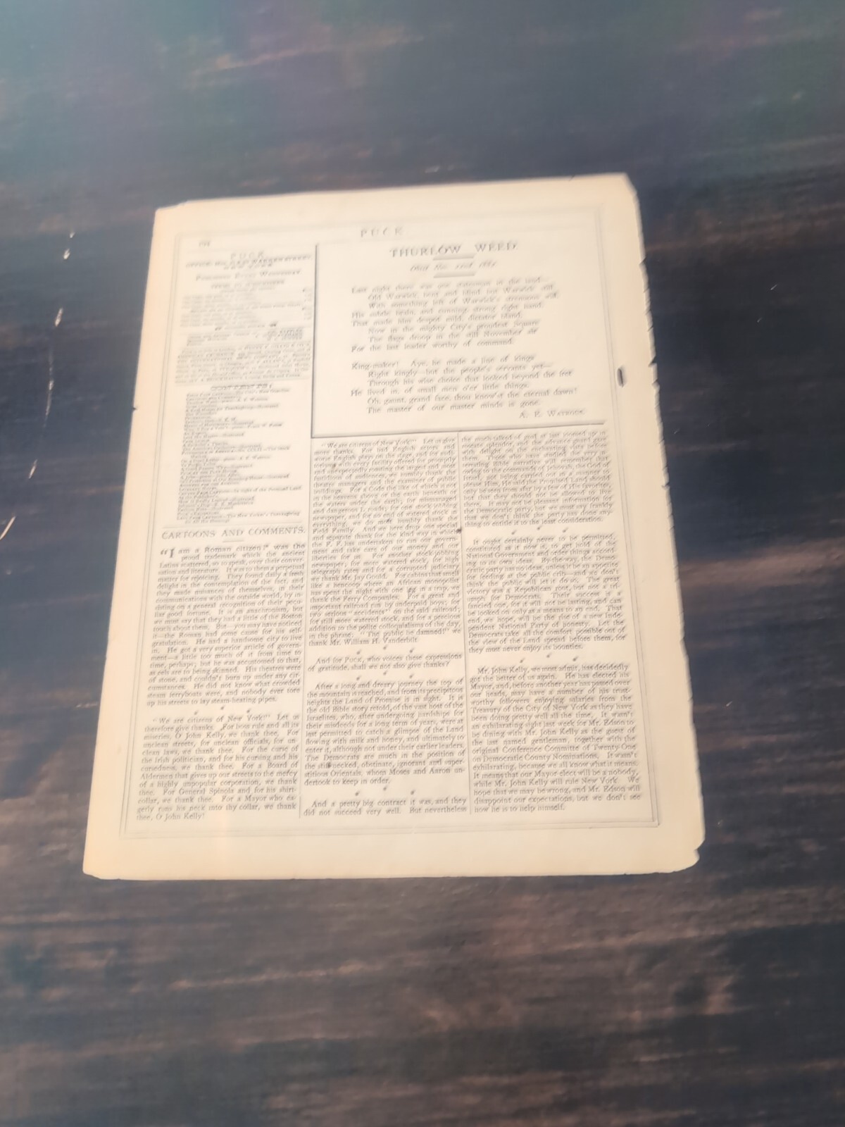 Vintage 1882 Puck Magazine Cover Vol. XII. - No. 299 New York Political ...