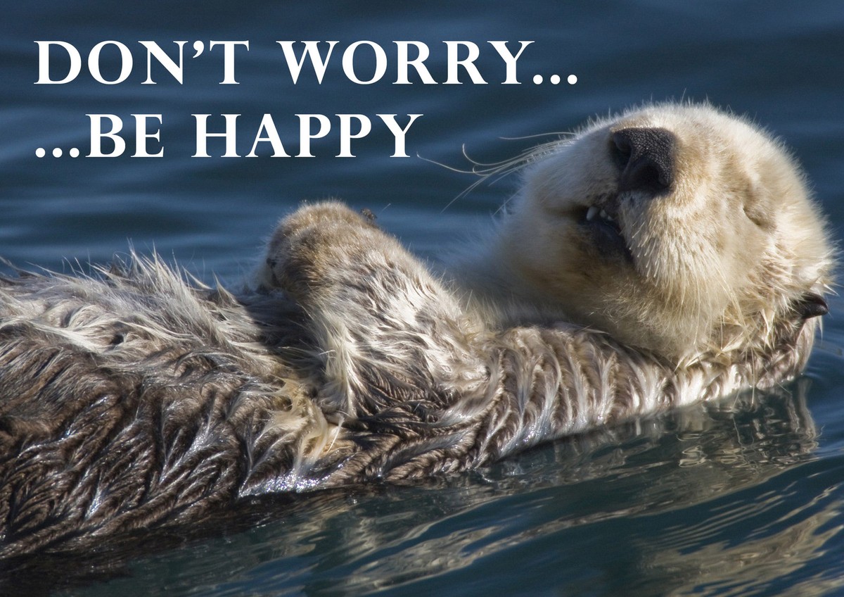 Good Day Otter Memes