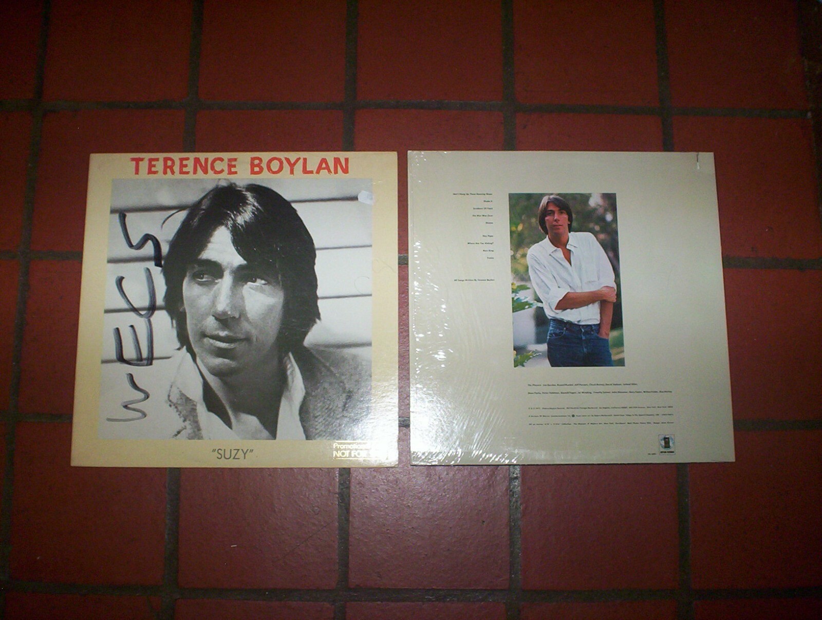TERENCE BOYLAN ( 2 ) LP lot: SELF TITLED in shrink / "SUZY" white label ...