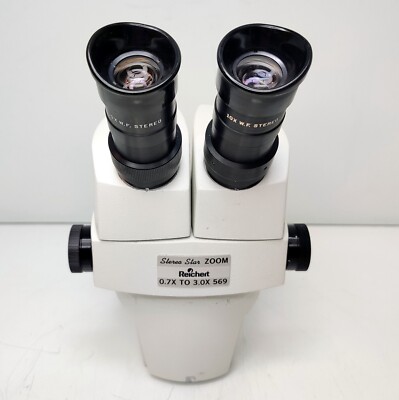 Microscopes - Microscope 30X