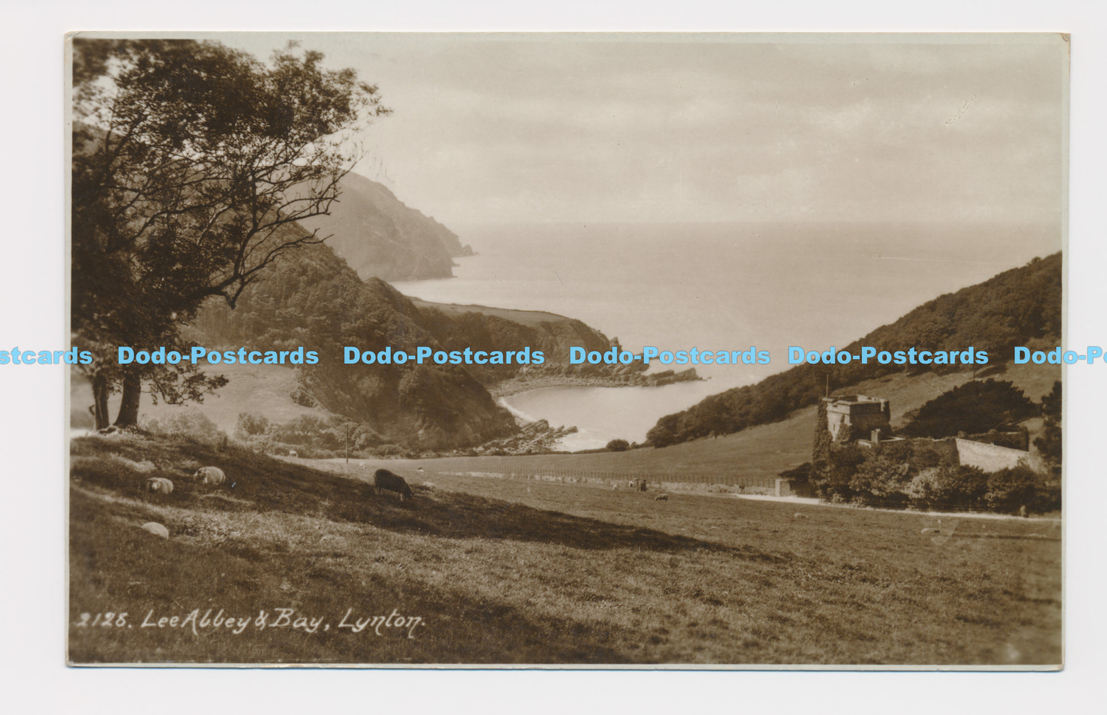 C019415 Lynton. Lee Abbey and Bay. E. A. Sweetman. Sunshine Series. RP ...