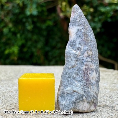 Authentic Kryptops Dinosaur Tooth Fossil - Abelisaurid | Elrhaz ...