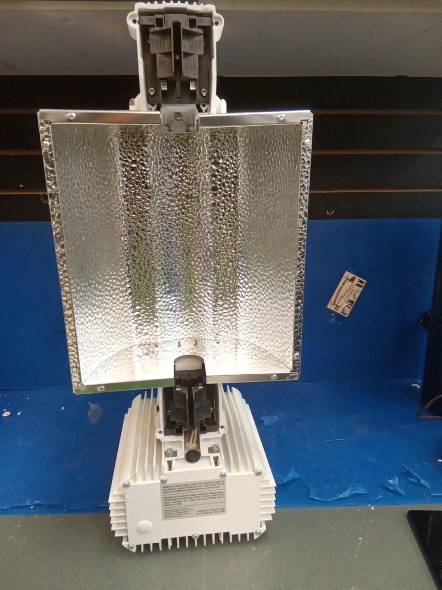 Gavita Lights Phone Number | Shelly Lighting