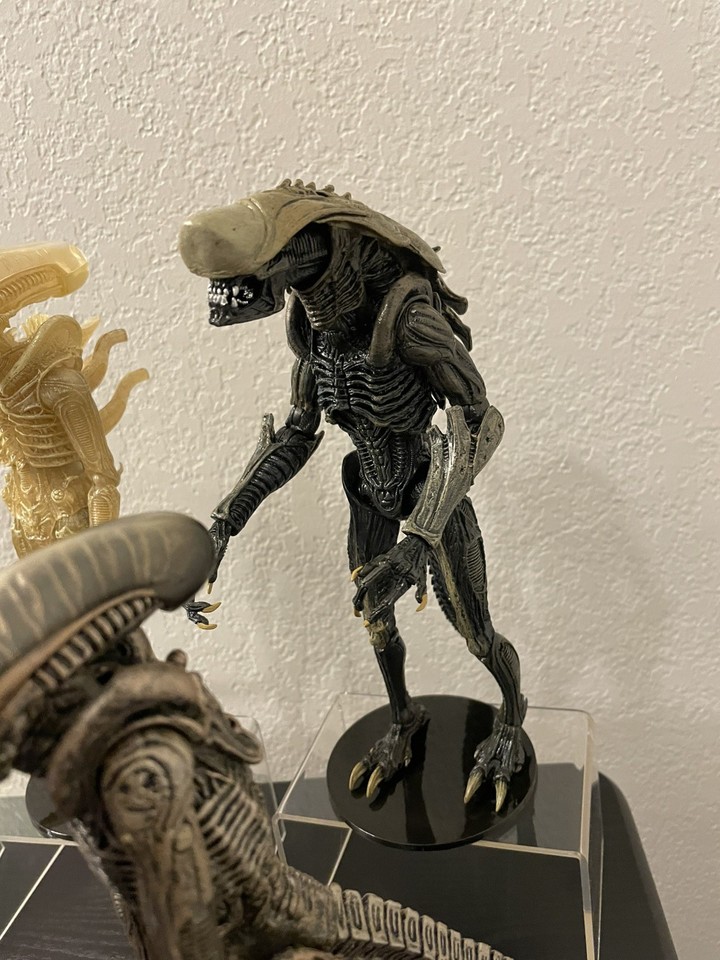 Huge Lot Of 6 Assorted NECA Aliens Xenomorph Action Figures WITH NECA ...