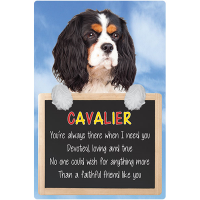 Cavalier King Charles Quotes