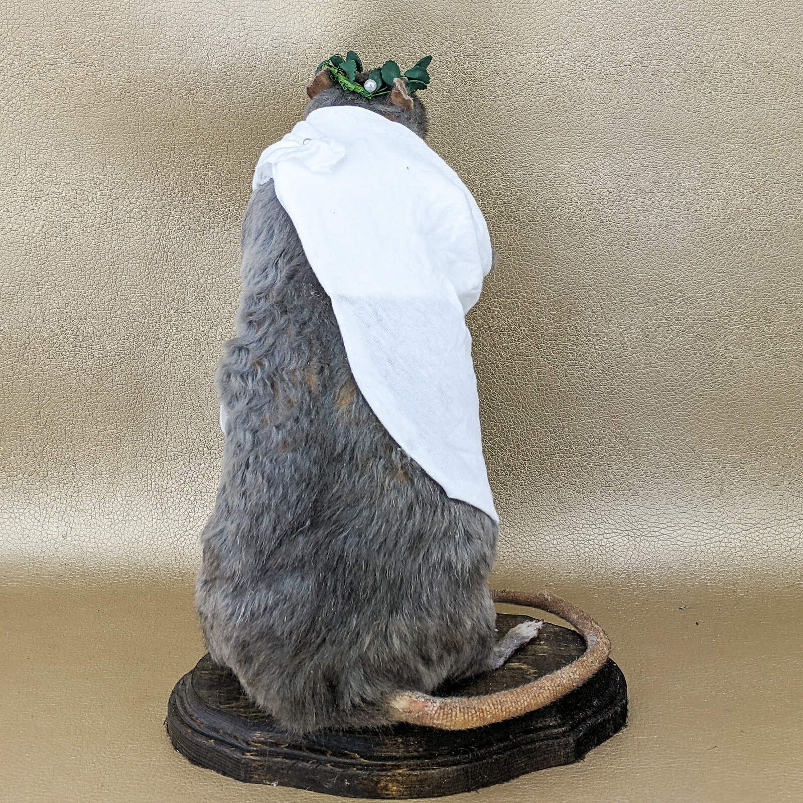 G35 Frat Rat Taxidermy Oddities Curiosities Mouse Animal House John ...