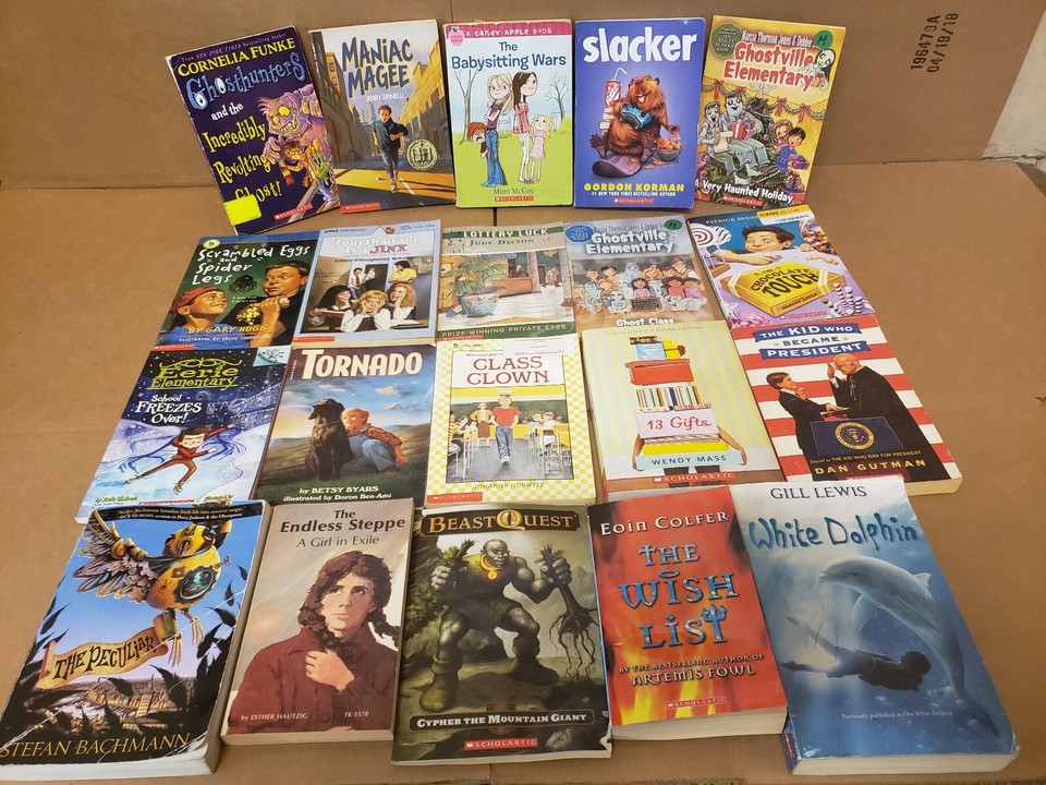 Lot of 20 Chapter ALL SCHOLASTIC Children Young YOUTH RANDOM UNSORTED ...