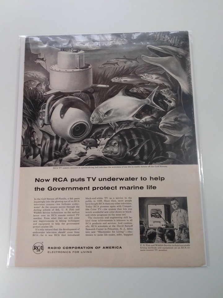 RCA Radio TV Print Ad Original Vtg 1950s Underwater Reef Fish Susan ...