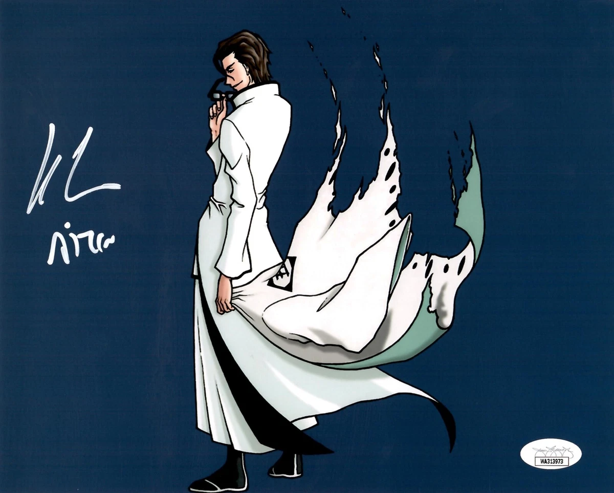 Sosuke Aizen Hollow
