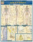 Anatomy; Quickstudy Reference Guides - Acad- 1572224916, pamphlet, Inc ...