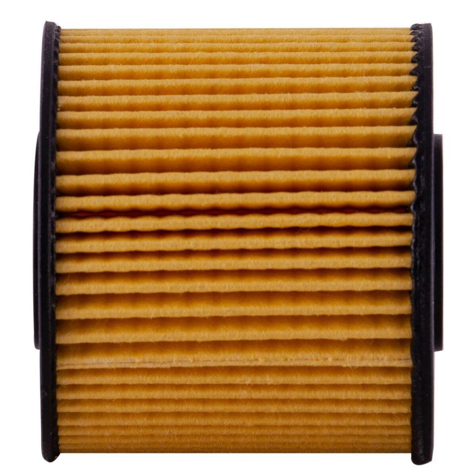 ECOGARD Premium Oil Filters Case (12 Pack) - X5608 | eBay
