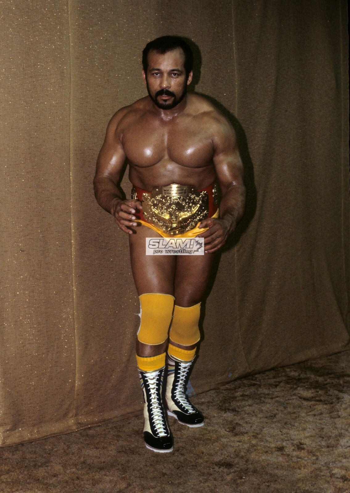 JOHNNY RODZ VINTAGE 8x10 COLOR PHOTO ROH ECW WWE NXT AEW IMPACT | eBay