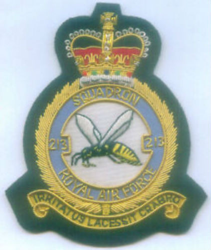 British English UK Patch Badge RAF 213 Naval Squadron Unit Group ...