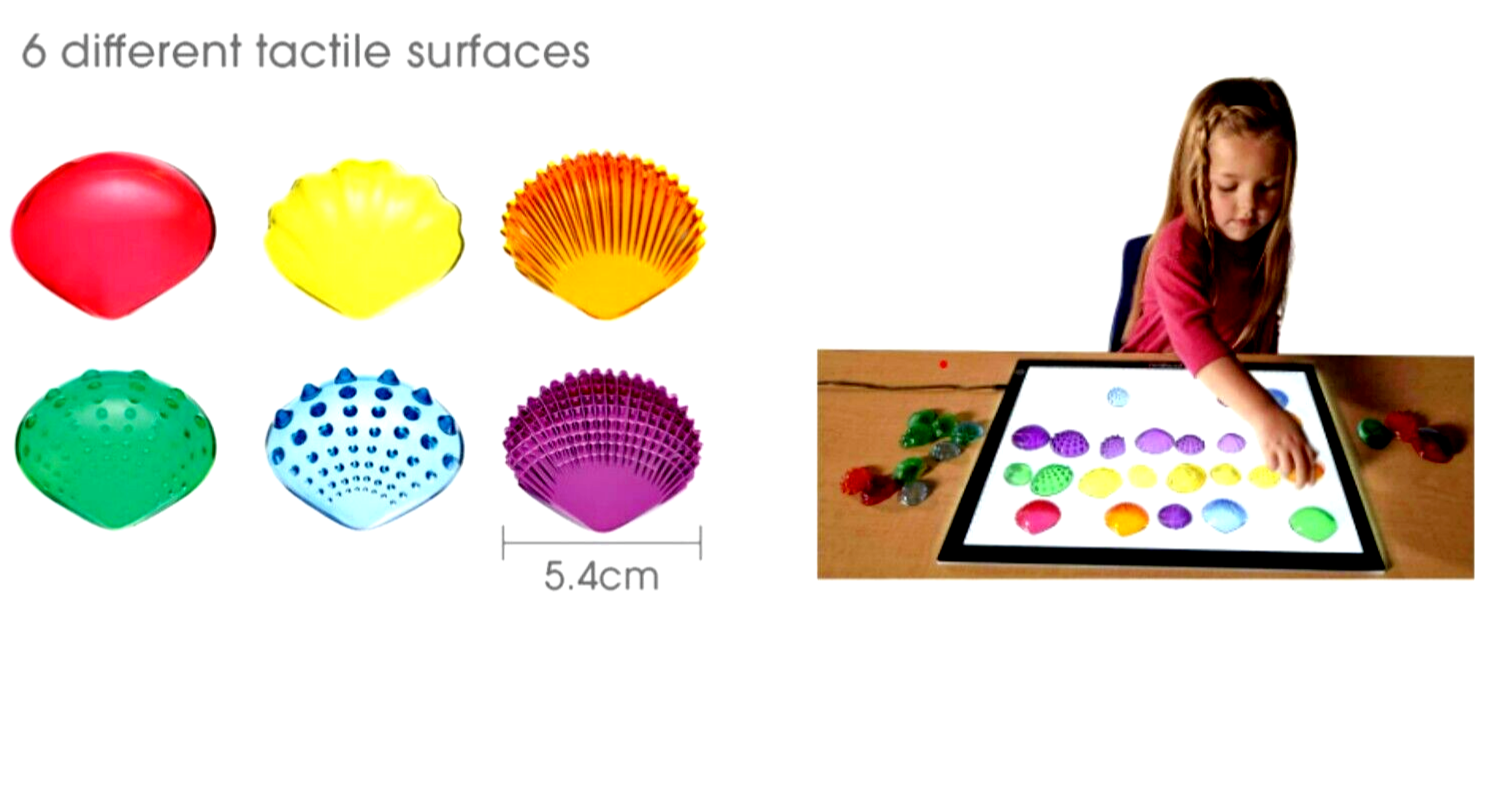 Tactile Shells 36 Transparent Early Maths Counting and Sorting Kids ...
