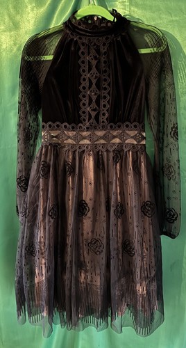 Behcetti Italia Black Gothic Velvet Dress - UK Size 10 | eBay