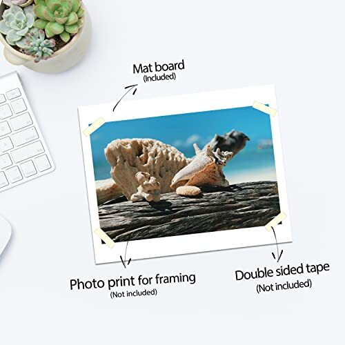 10 Pack 8x10 White Uncut Mat for Pictures Artworks Prints Frames Acid ...