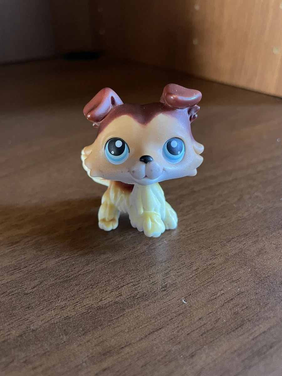 Littlest Pet Shop Collie 58