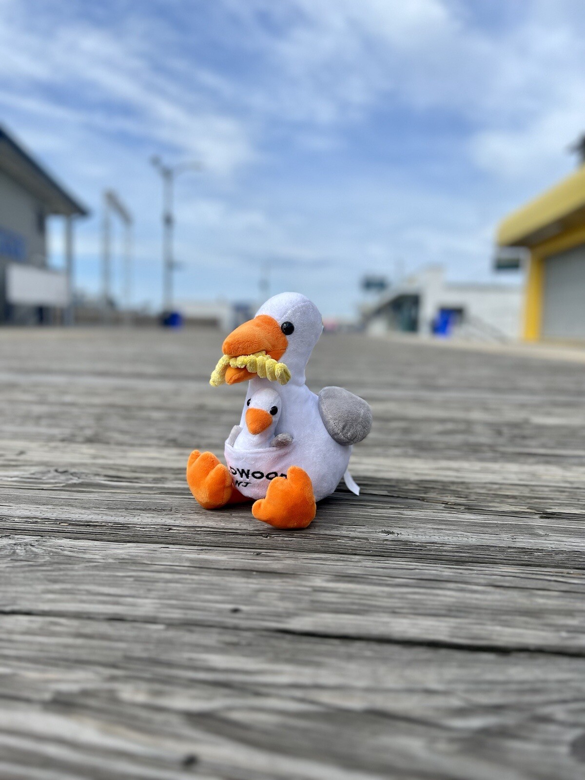 The Seagull Plush Toy with Baby Wildwood NJ - NEW 2023 | eBay